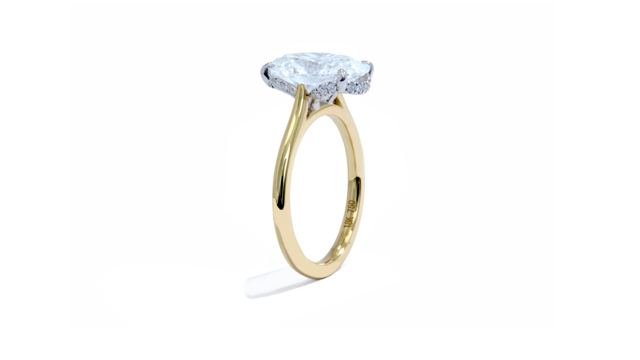 3.5ct Oval Cut Solitaire Cathedral Set – Ascot Diamonds