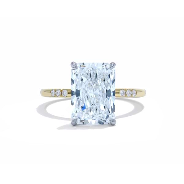 Emerald Cut Bubble Band Engagement Ring – Ascot Diamonds